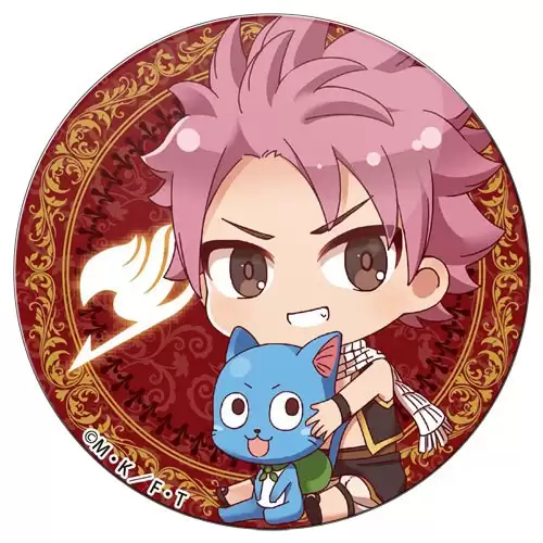 Fairy Tail Chibi Natsu Dragneel